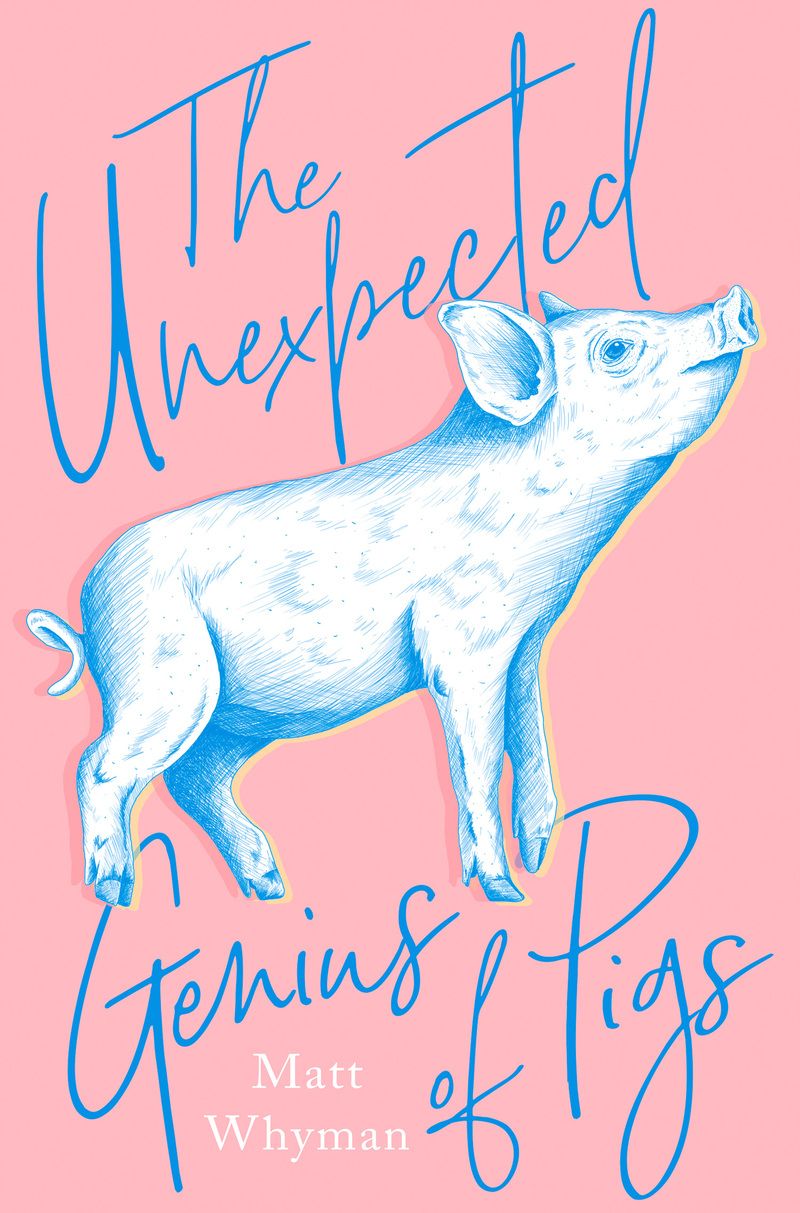 The Unexpected Genius of Pigs - AudioTribe
